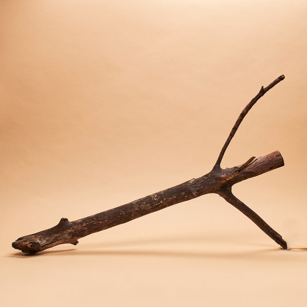 Red Mangrove Root Section (single piece) - Tannin Aquatics
