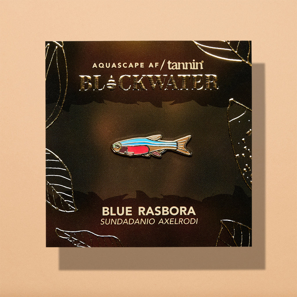 Tannin Special Release "Mikolji Bronze Corydoras Biotope 9669" (Ivan M ...